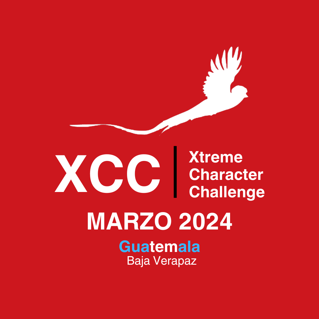 XCC | 4MGT